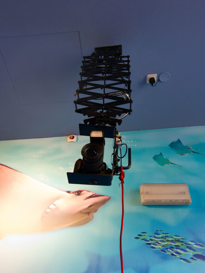 Colour - Craig Atkinson