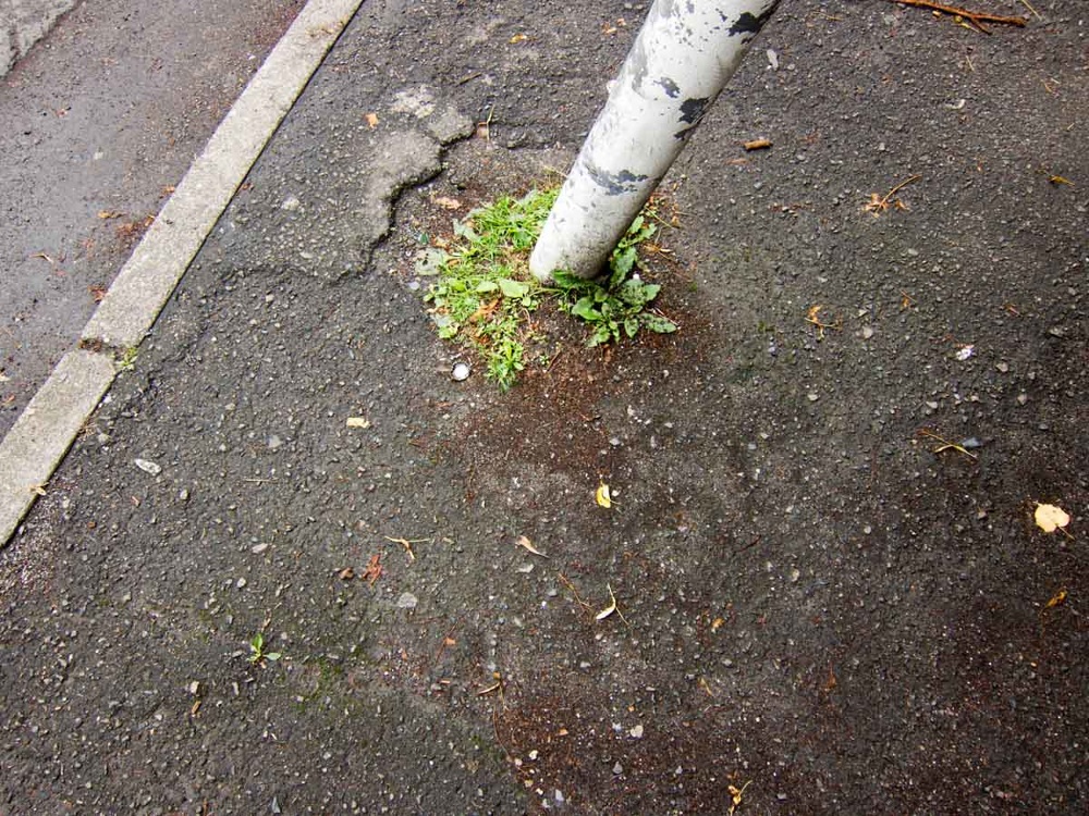 Colour - Craig Atkinson