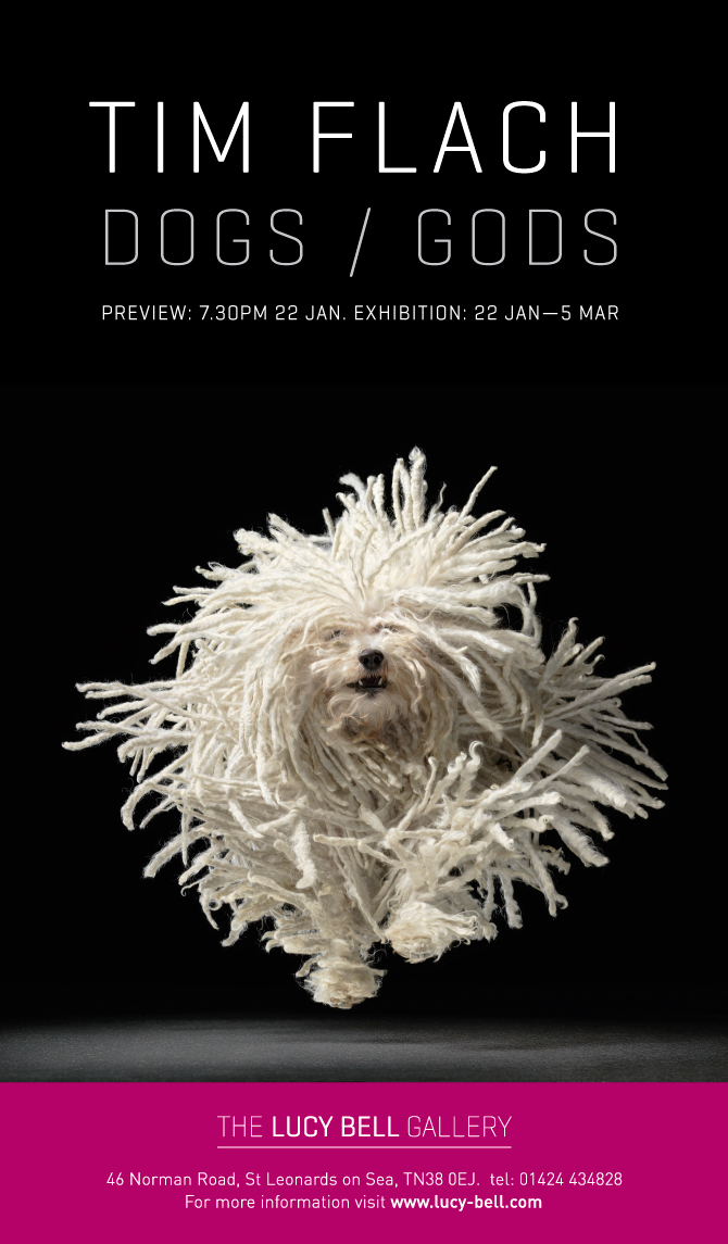 Tim Flach Dogs/Gods - Lucy Bell : Fine Art Photography Gallery
