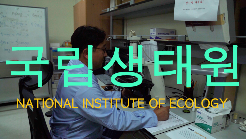 홍기원 작가, KIWON HONG