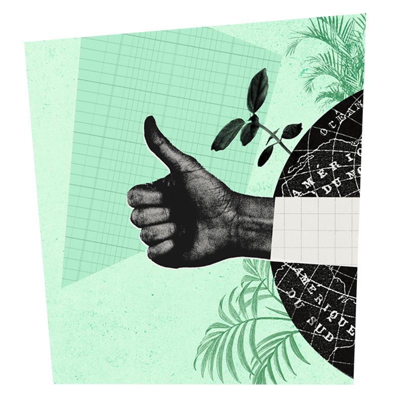 Sunglasses - Mathilde Aubier