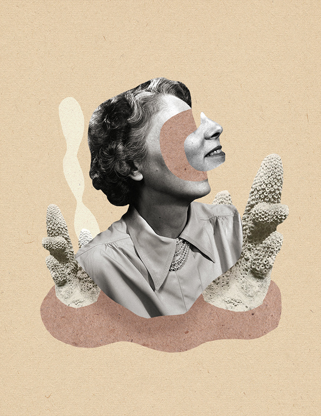 Rose - Mathilde Aubier