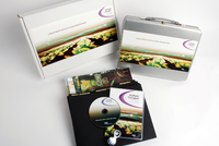 Benign Objects / Rachel Wiles // design, art, illustration