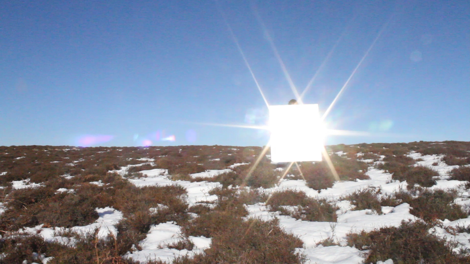 The Starry Messenger - Jessica Ramm