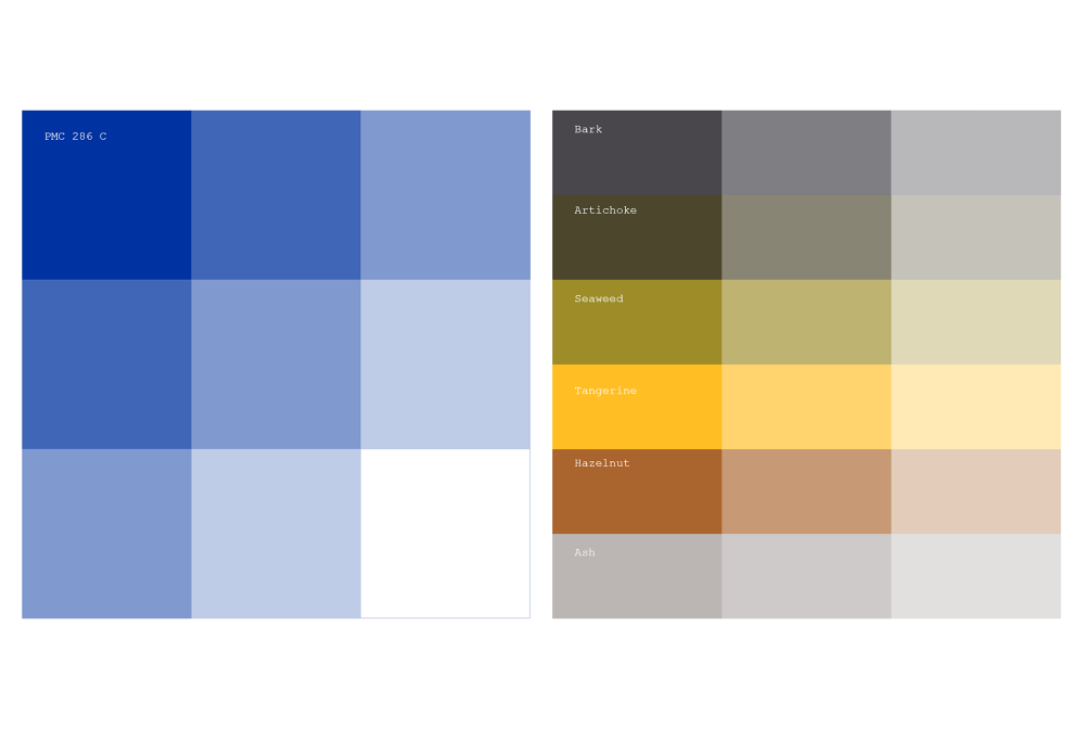 SOI Lecture Series — Poster Campaign - Lichen Project — Graphic Design