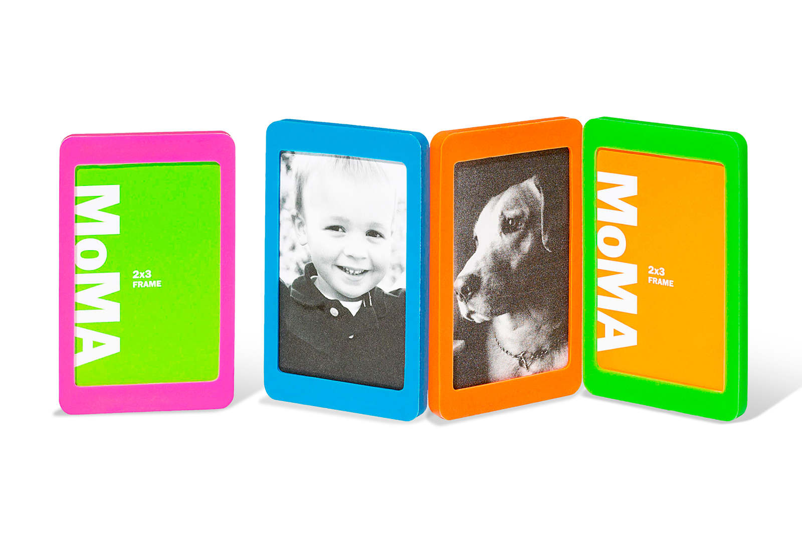 MoMA DS — Magnetic Frames - Lichen Project — Graphic Design