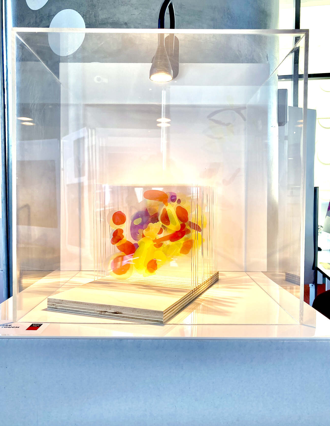 Liminal Emotions - Joanna Gardener