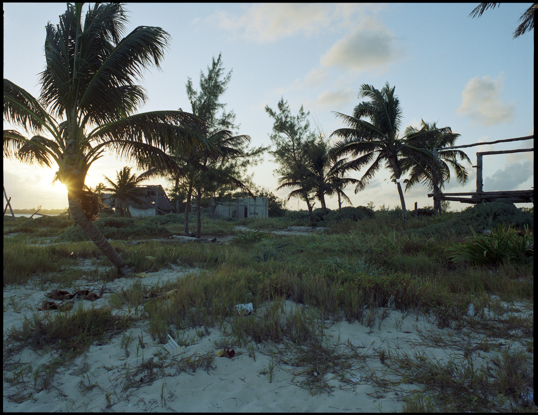 Fringes - Sam Seager Photography