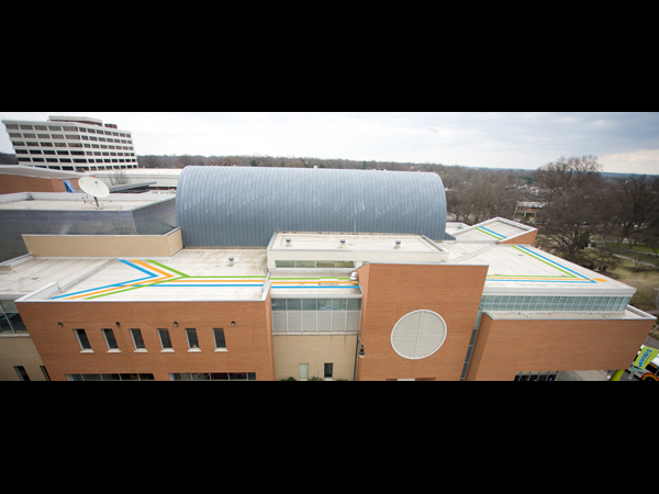 Marbles Kids Museum - a collection of work: Amber Majors