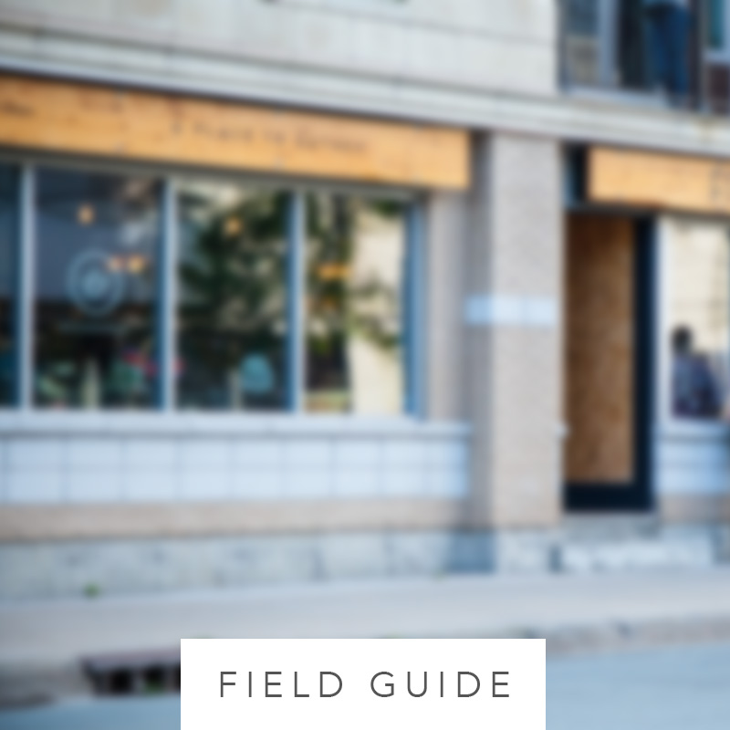 Field Guide - Katie Tower