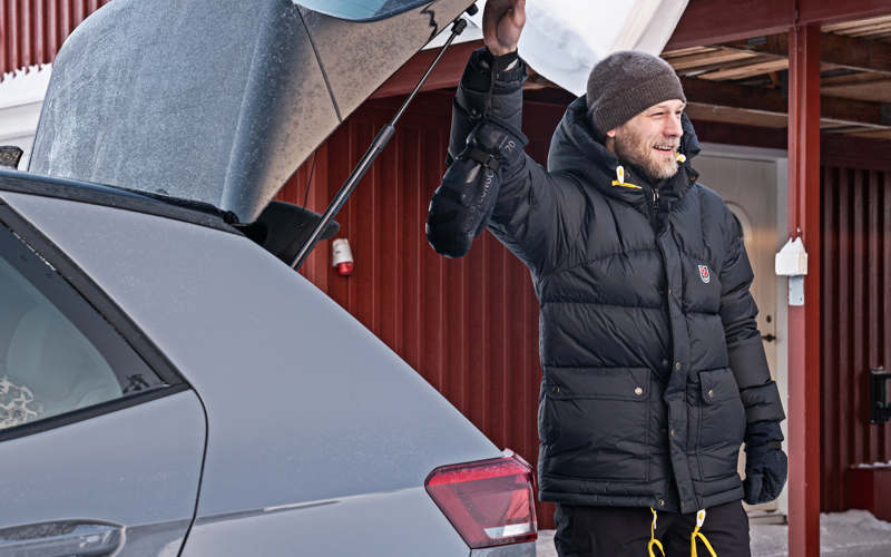 Pogonotrophy - peter lundstrom