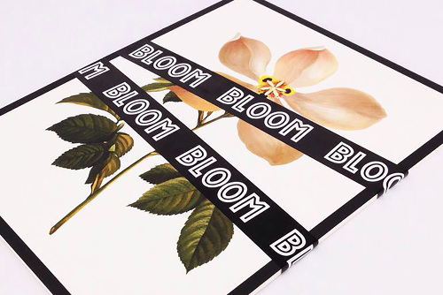 MEAT art direction and design