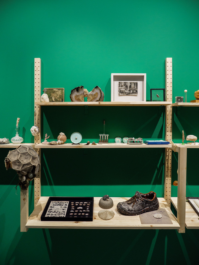 STEM 0854A - Hila Amram