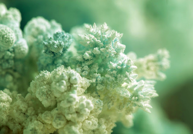 THE EXPERIMENT No. 034# - Hila Amram הילה עמרם