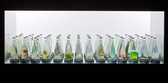 STILL GLASS - Hila Amram