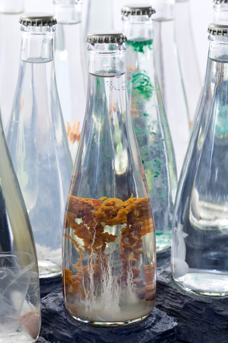 STILL GLASS - Hila Amram