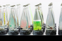 STILL GLASS - Hila Amram