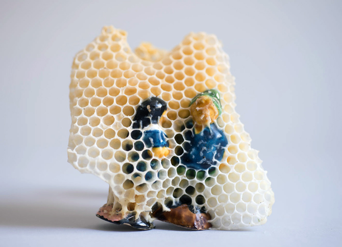 COLONY COLLAPSE DISORDER - Hila Amram