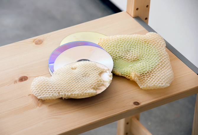 COLONY COLLAPSE DISORDER - Hila Amram