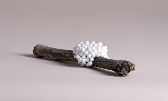 REGRESSIVE EVOLUTION - Hila Amram