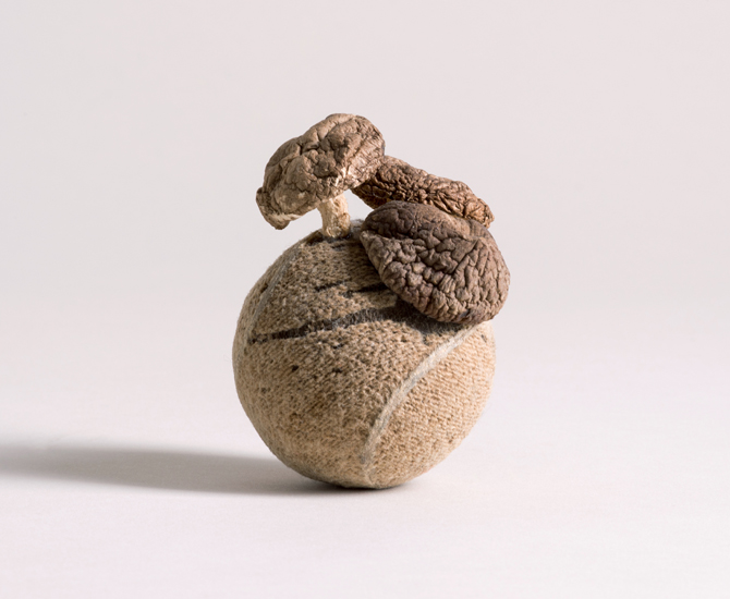 REGRESSIVE EVOLUTION - Hila Amram