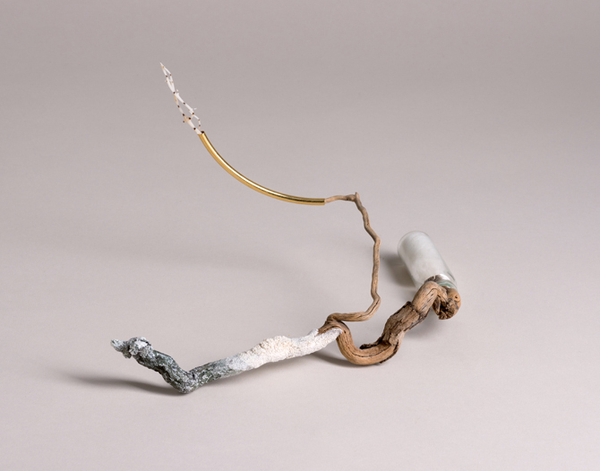 REGRESSIVE EVOLUTION - Hila Amram