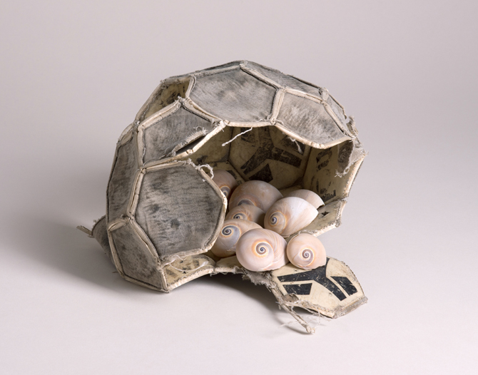 REGRESSIVE EVOLUTION - Hila Amram