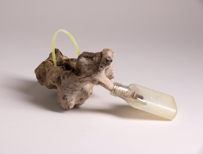 REGRESSIVE EVOLUTION - Hila Amram