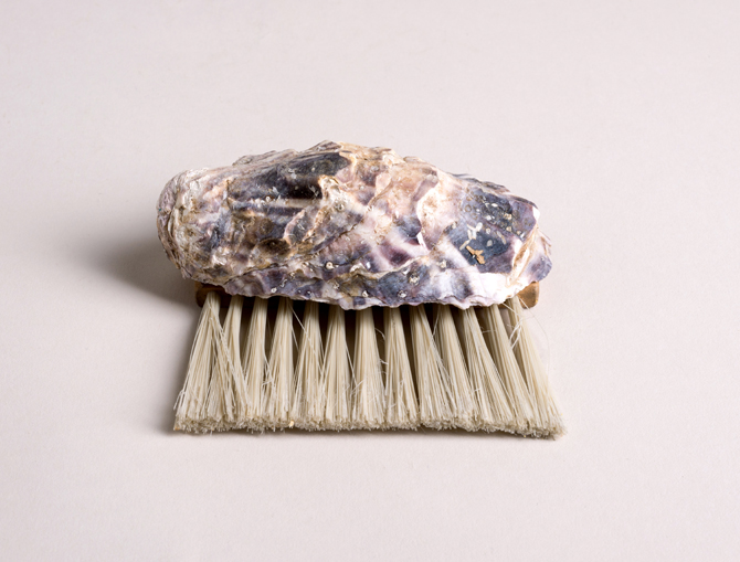 REGRESSIVE EVOLUTION - Hila Amram