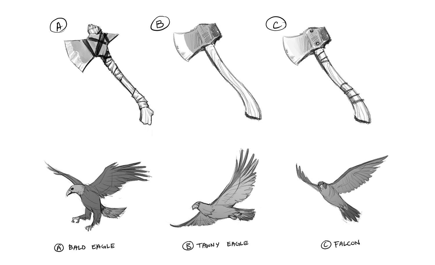 Boy Scouts of America - AndrewGlafcke