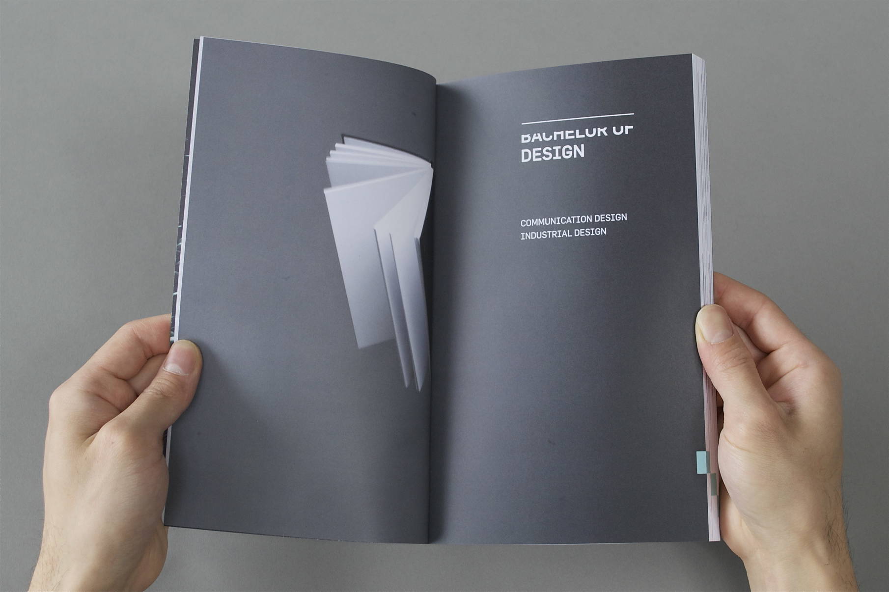 ECUAD DEGREE SHOW '11 - Nireesha Prakash