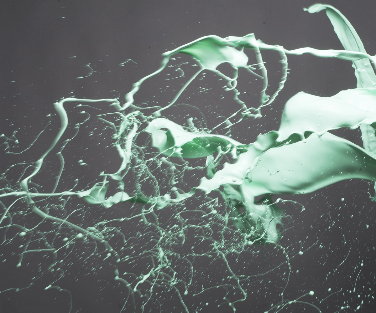 ECUAD DEGREE SHOW '11 - Nireesha Prakash