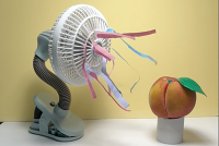 A KFC Stage Play - Claire Wyckoff