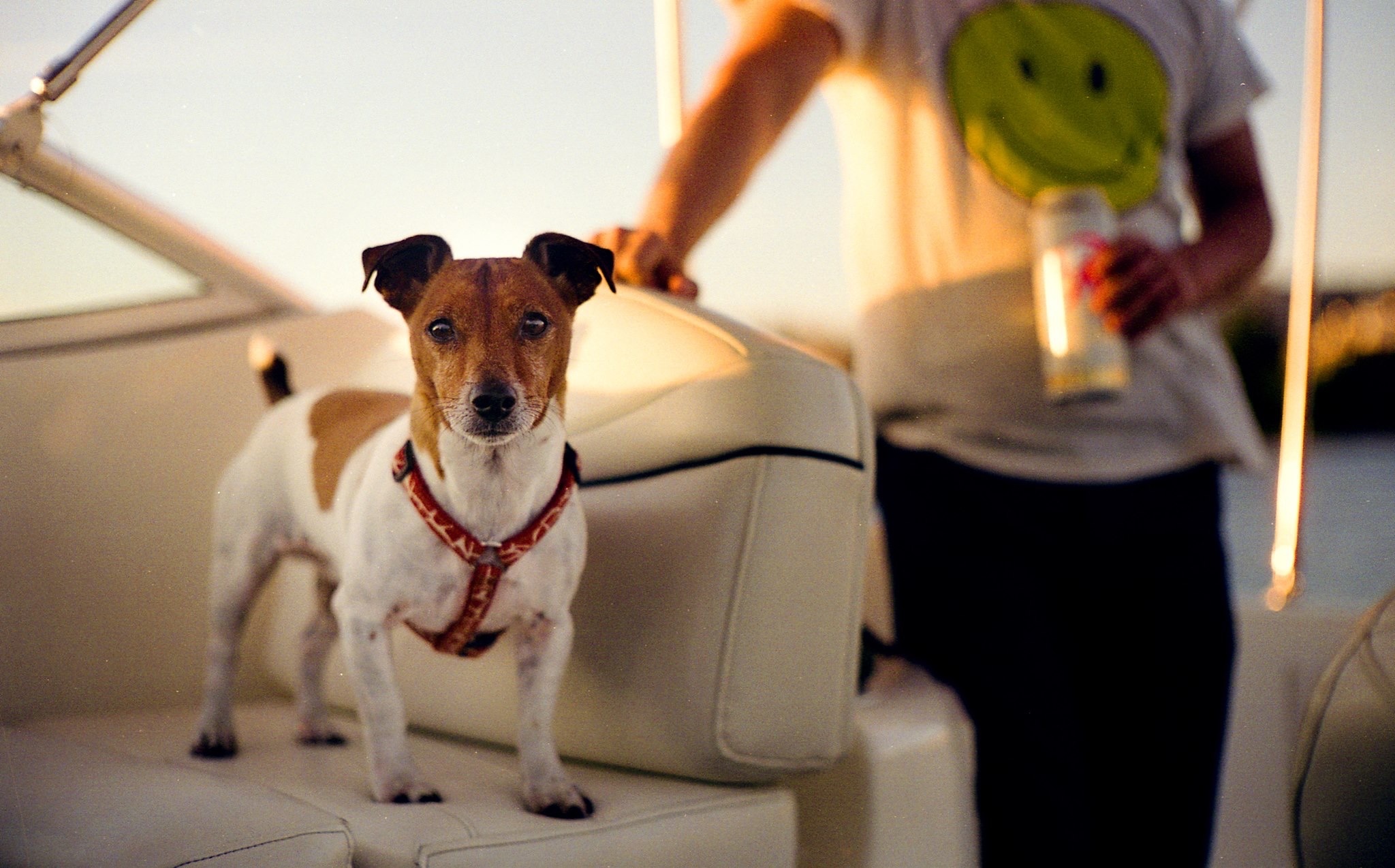 emoticonic - Emoticon