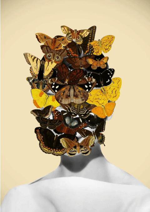 Gif Collages - damla ozdemir