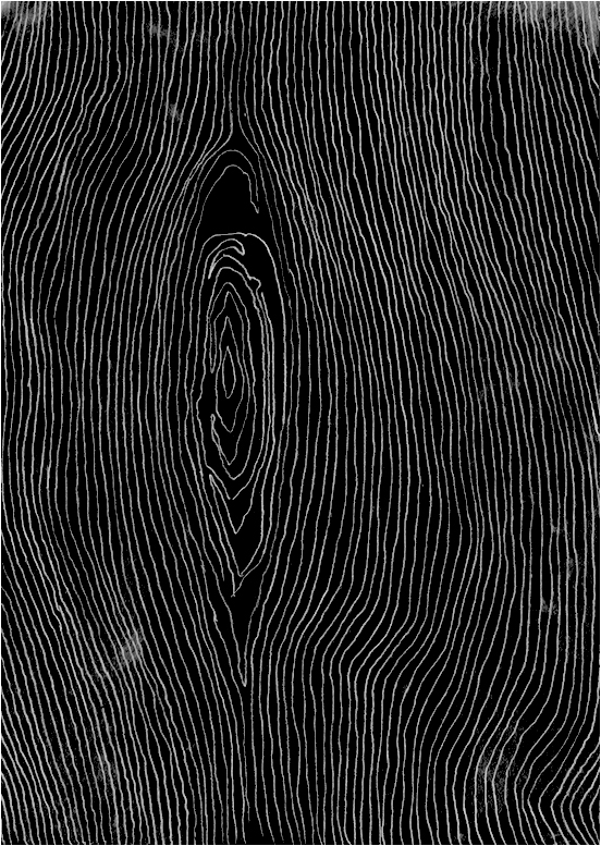 (extra) ordinary drawings - Suzanne Bakkum