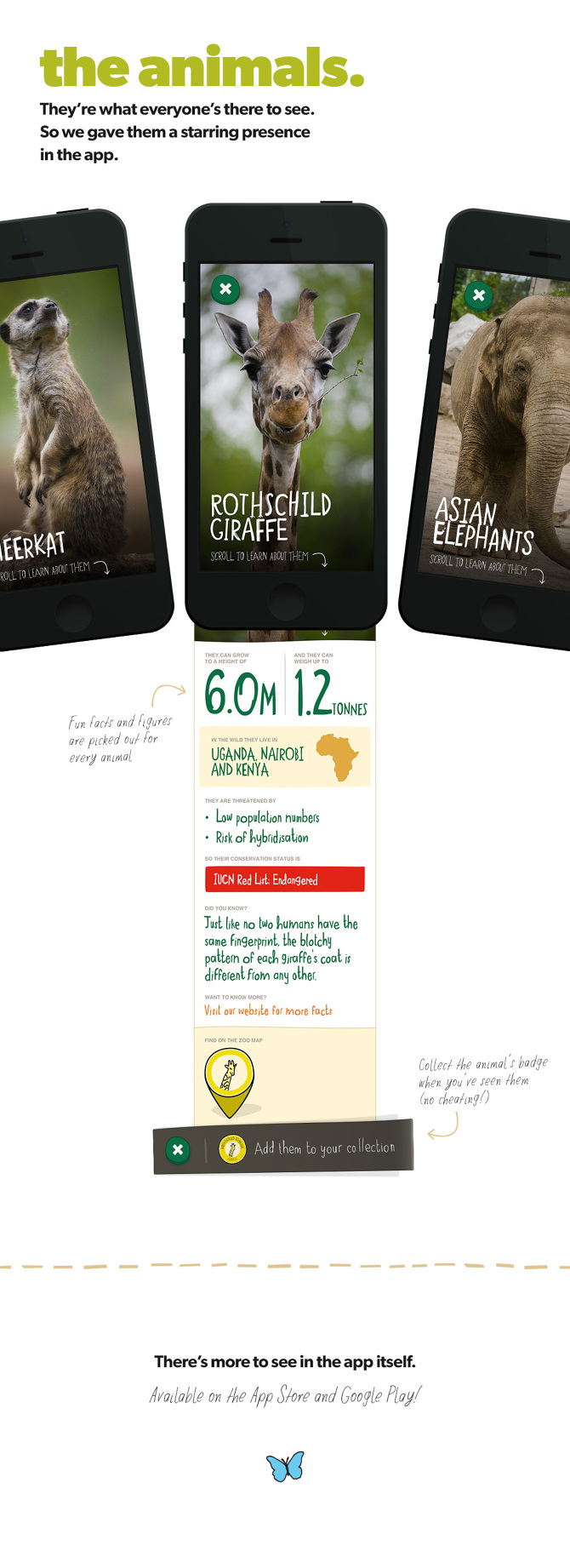 Chester Zoo App - Ben Haddock