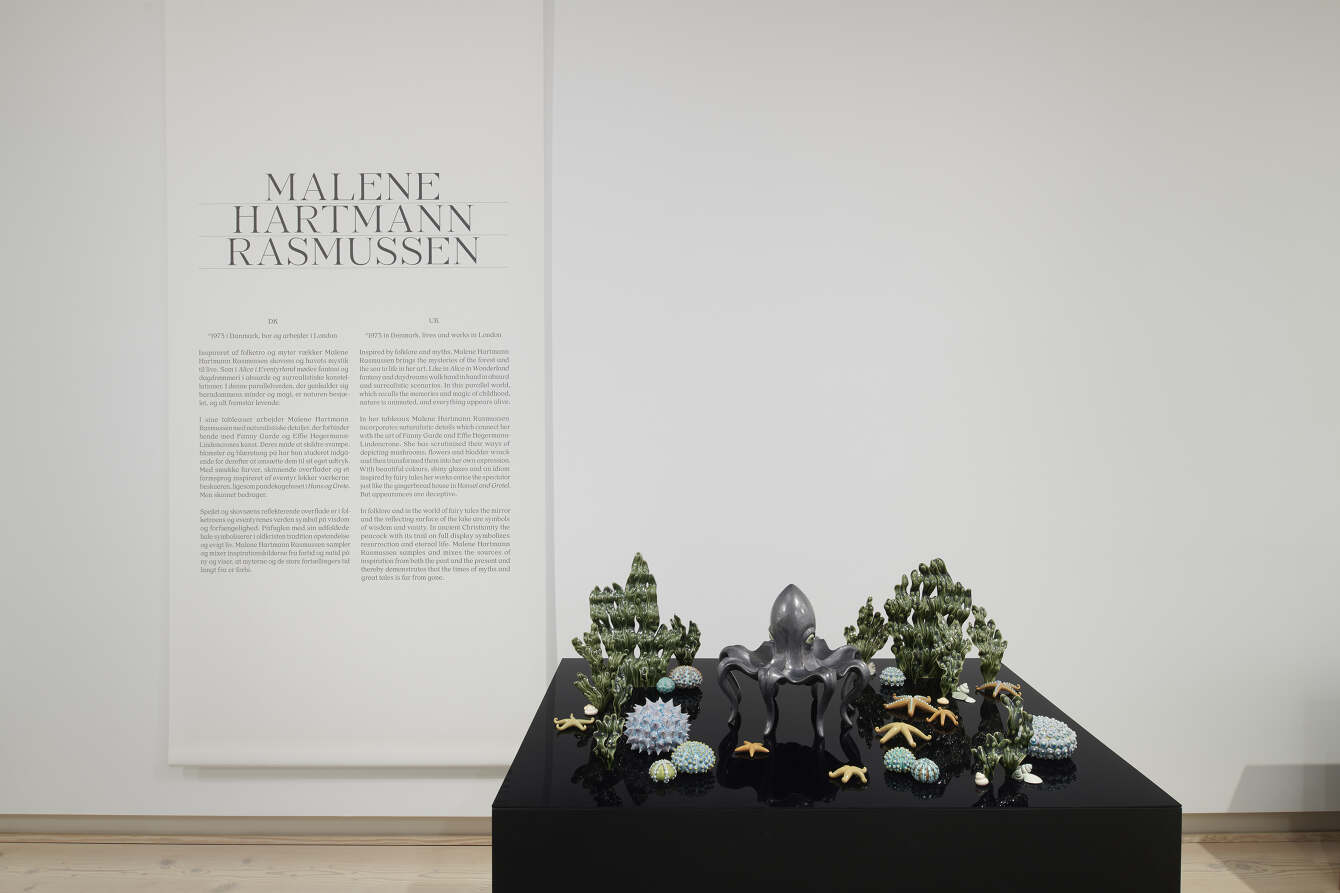 "Natur. Spor & Spejlinger" - CLAY Keramikmuseum Danmark (2021) - Malene ...