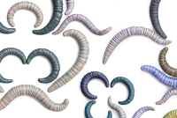 Malene Hartmann Rasmussen