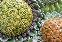 Malene Hartmann Rasmussen