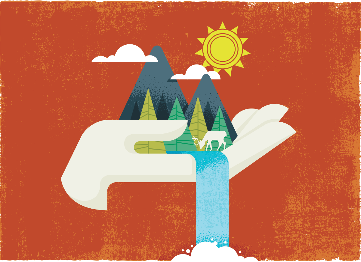 Illustrations - Brian Hurst