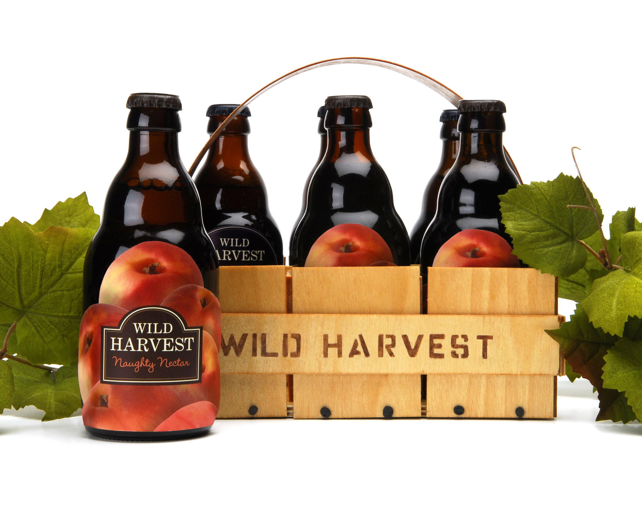 Wild Harvest Apple Cider - Jacklin Hordes Design