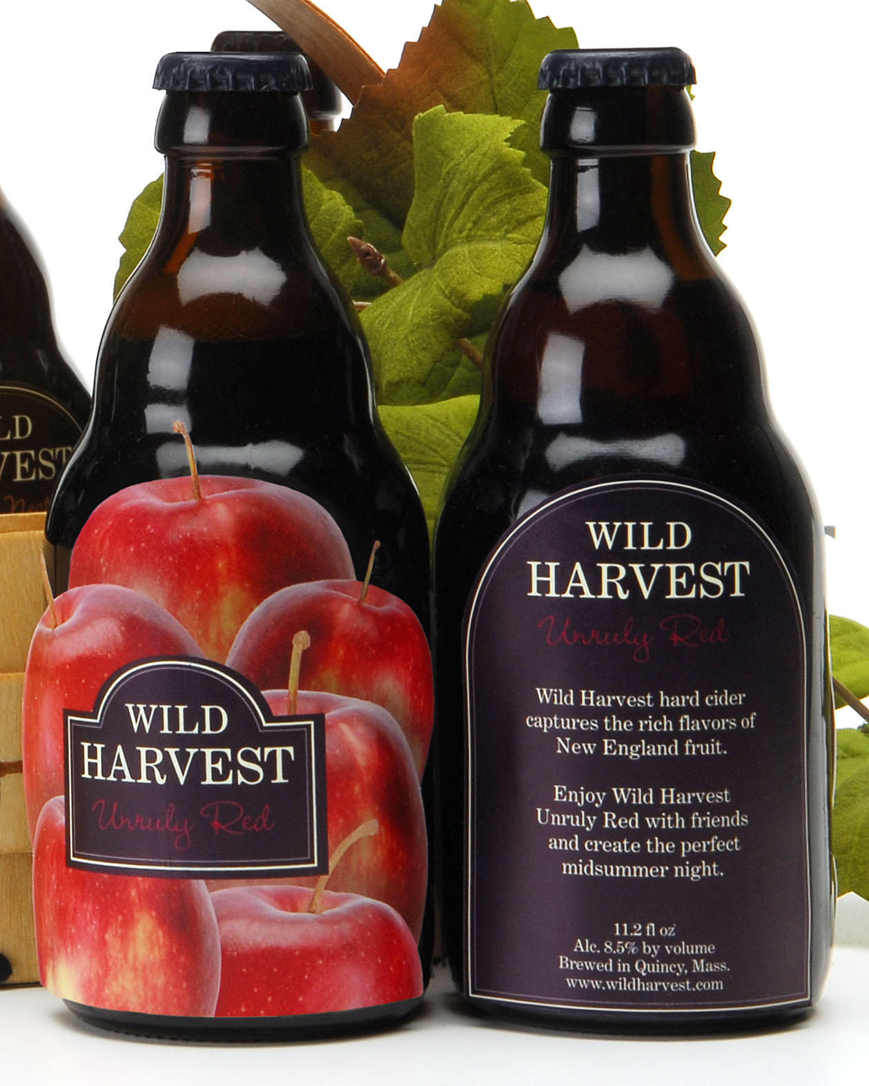 Wild Harvest Apple Cider - Jacklin Hordes Design