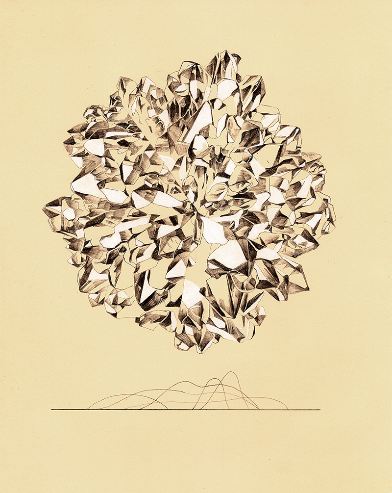 Benji Haselhurst - Art & Design