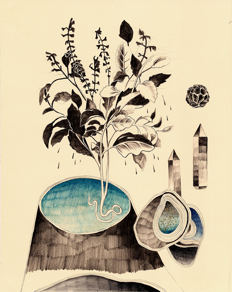Benji Haselhurst - Art & Design