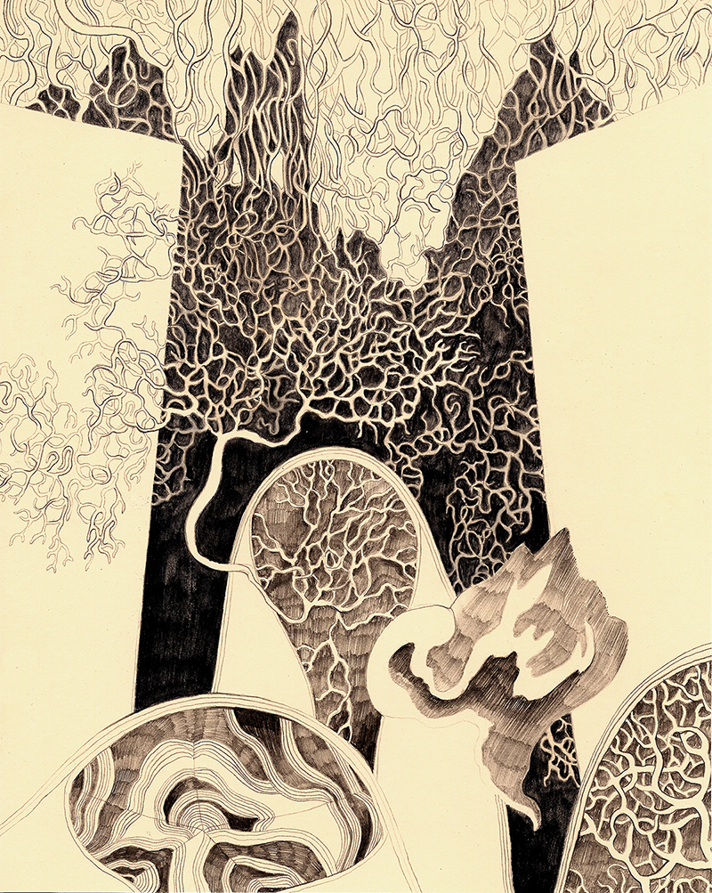 Frailest Form - Benji Haselhurst - Art & Design