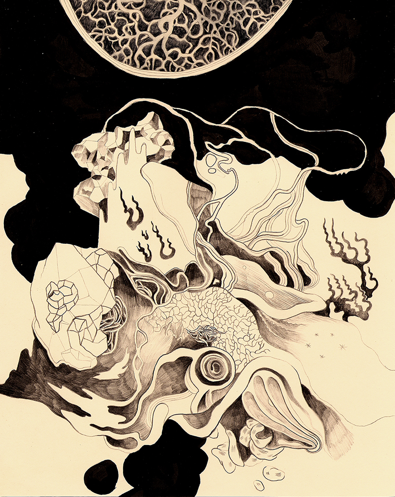 Benji Haselhurst - Art & Design