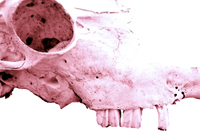 JAVIER MADRID - Estudio de Arte