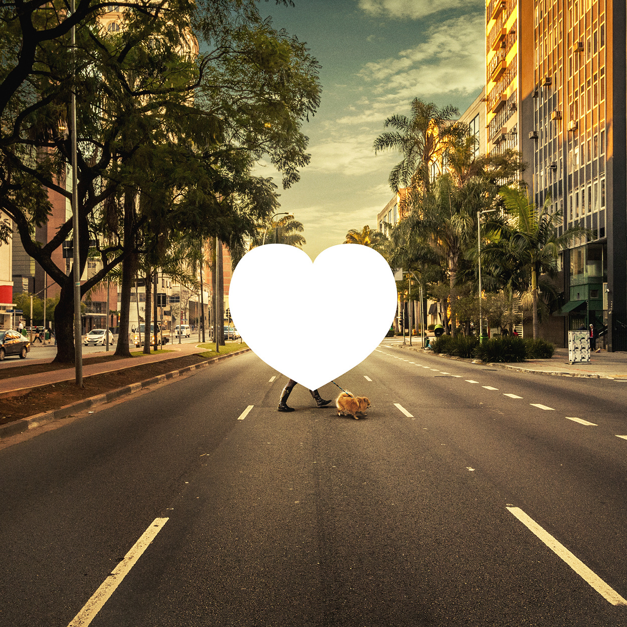 Advertising - Régis Fernandez