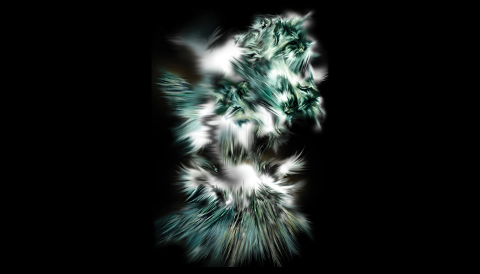 Irene Hanenbergh: Voodoo Technology - Ashley Crawford